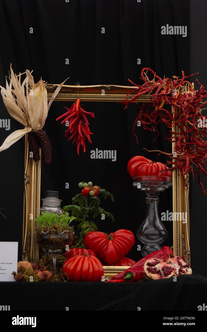 London, UK. 20th May, 2024. The She Grows Veg display of vegetables on ...