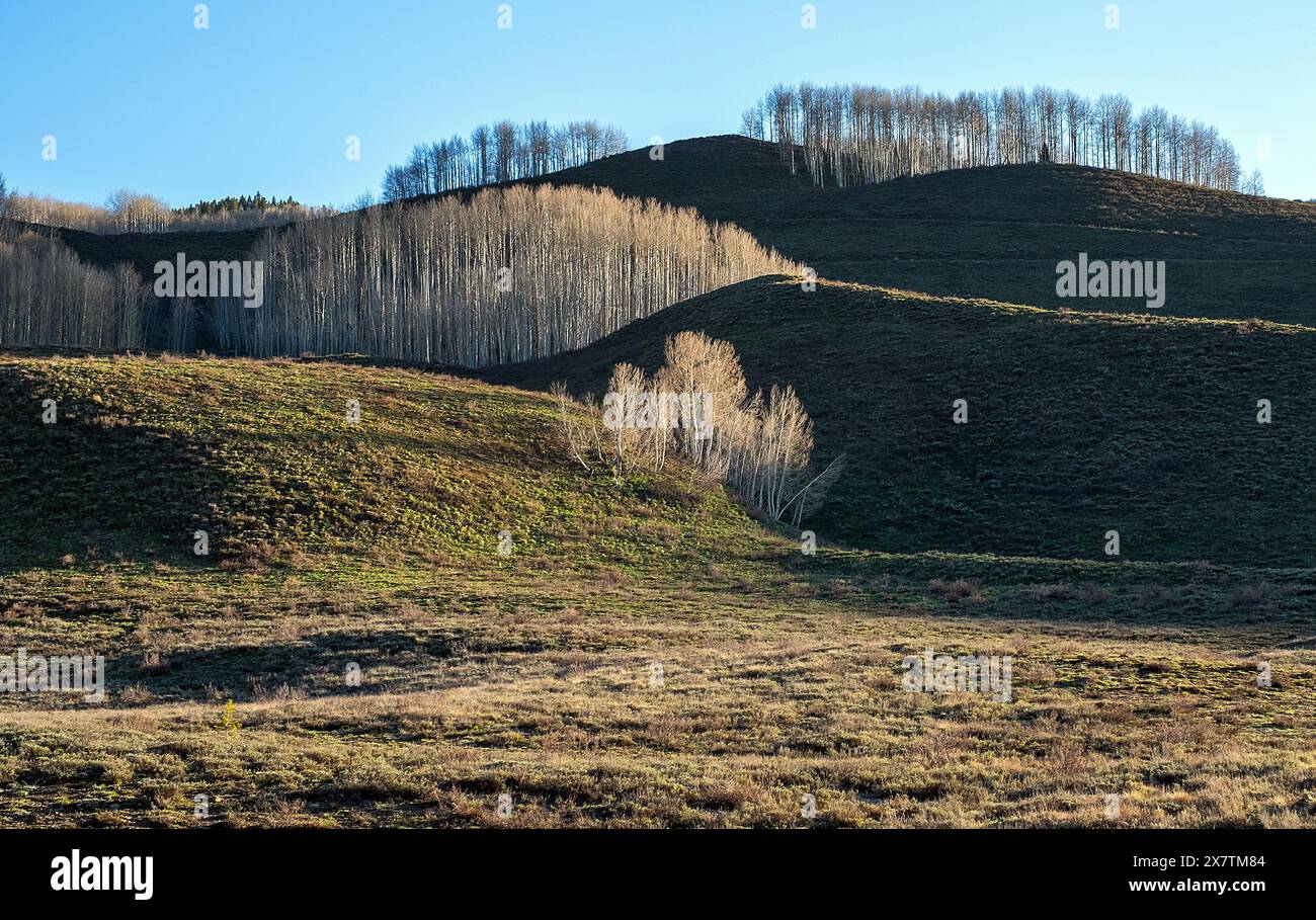 High marsh zone hi-res stock photography and images - Alamy