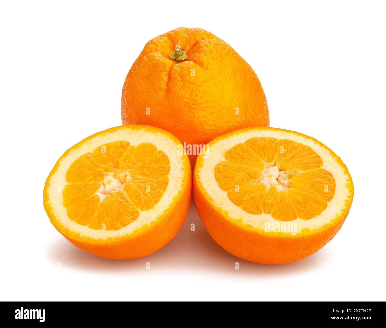 Oval slice hi-res stock photography and images - Alamy