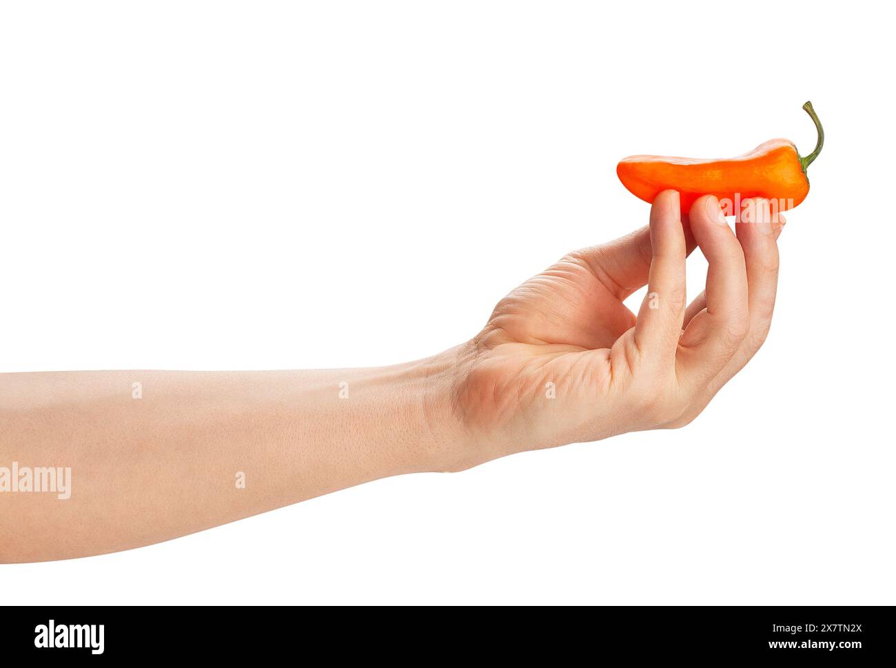 orange mini bell pepper in hand path isolated on white Stock Photo - Alamy