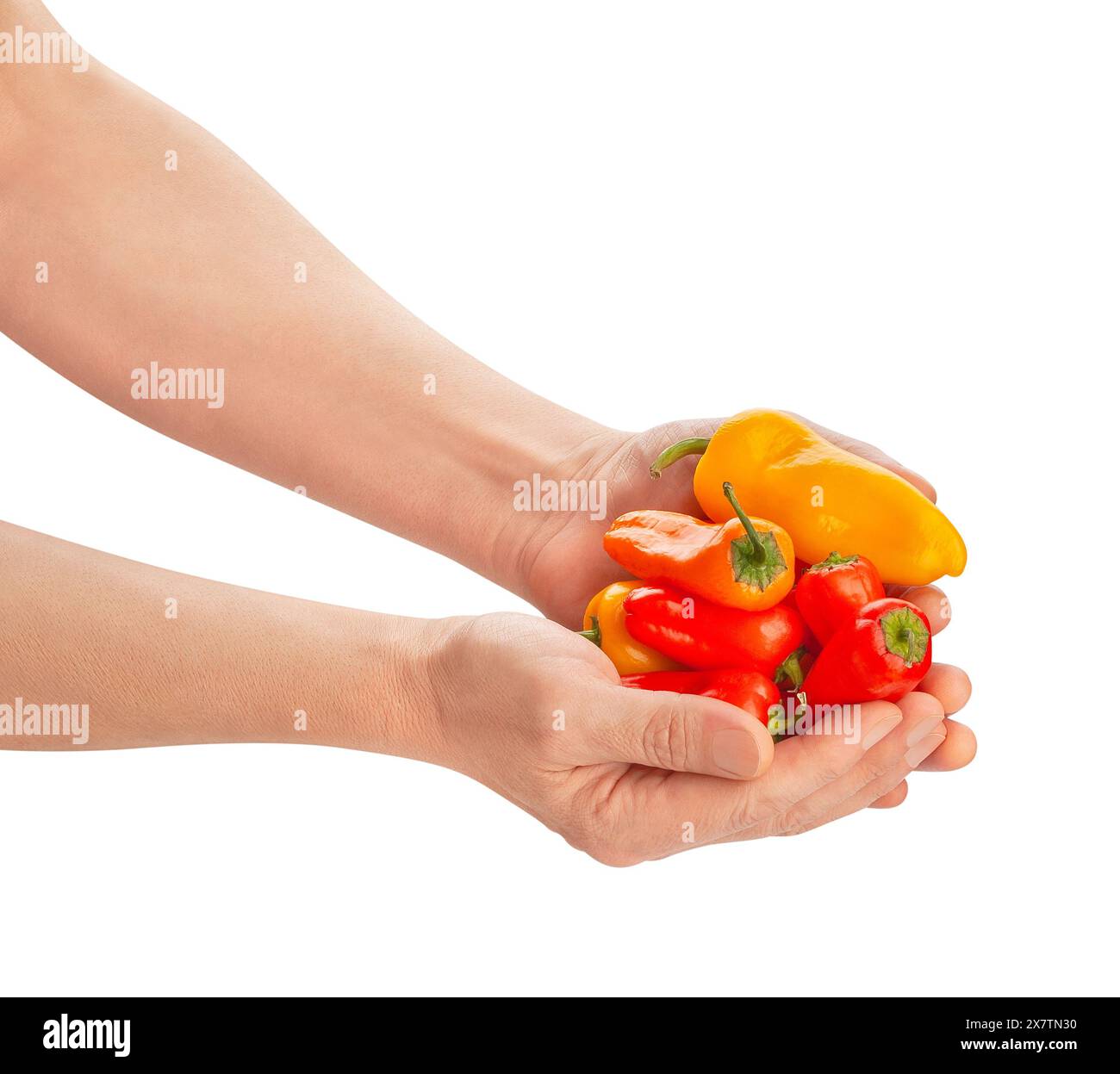 mini bell pepper mix in hand path isolated on white Stock Photo - Alamy