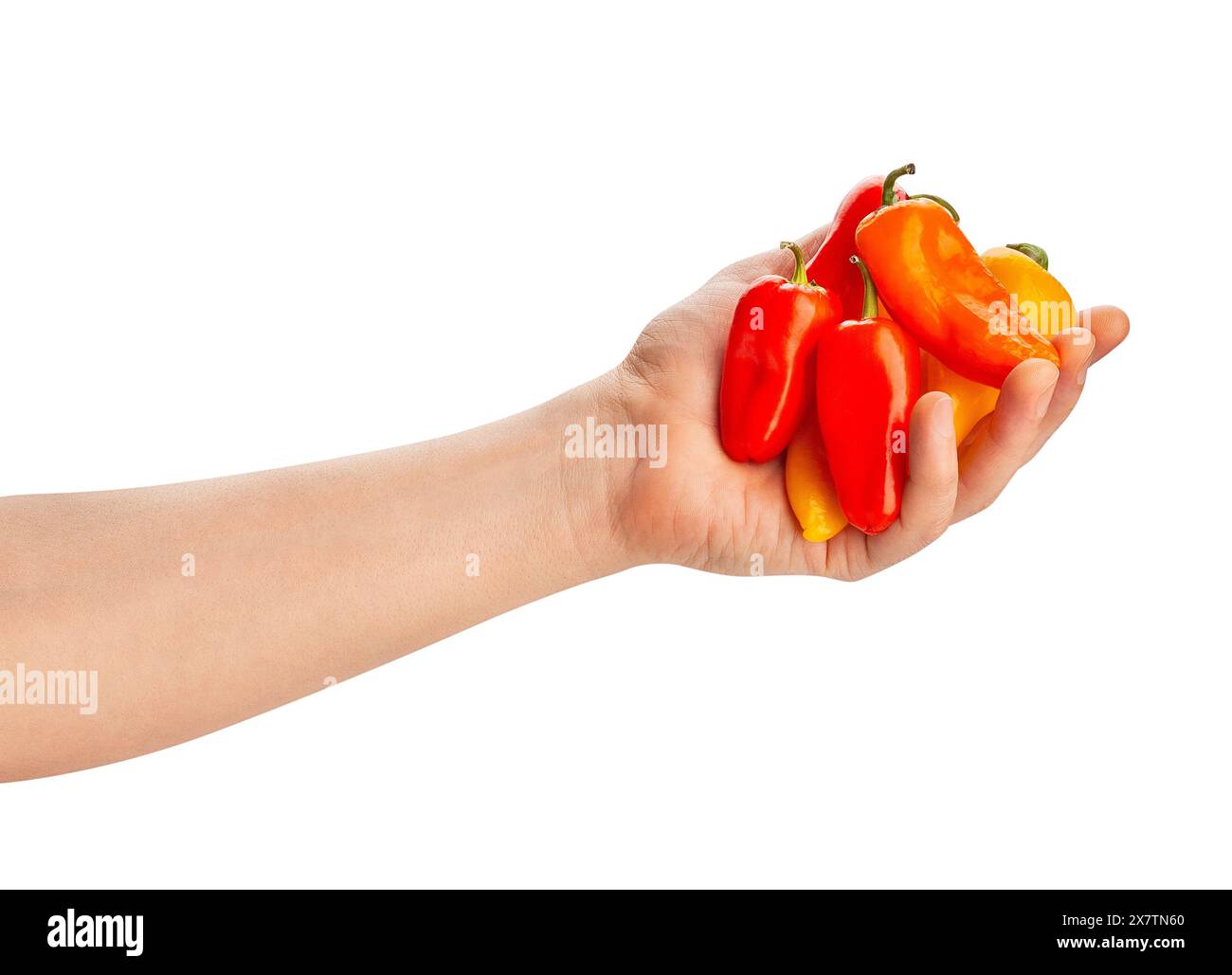 mini bell pepper mix in hand path isolated on white Stock Photo - Alamy