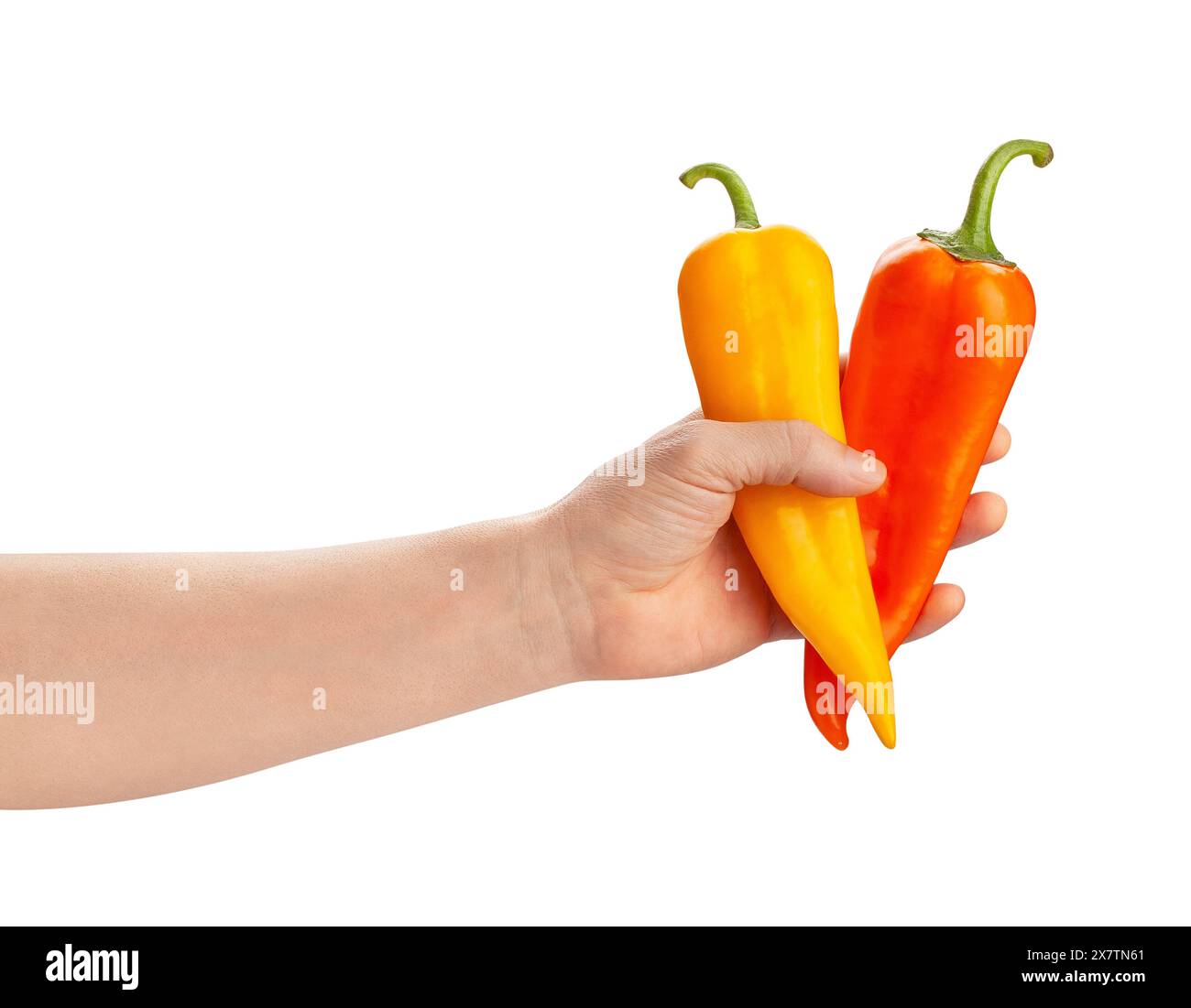 long sweet pepper in hand path isolated on white Stock Photo - Alamy