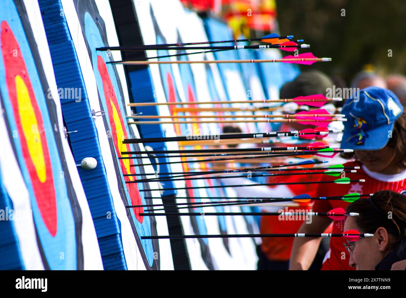 Alicante, Spain- April 8, 2024: Arrows on Shooting targets in an ...