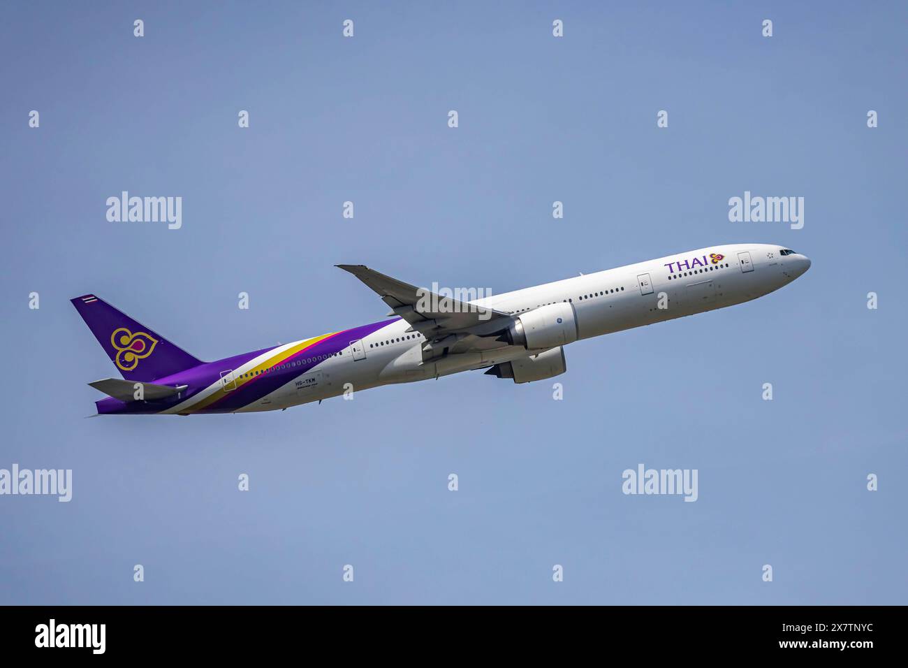 Flughafen Frankfurt, Fraport mit Flugzeug. Registrierung: HS-TKM, THAI ...