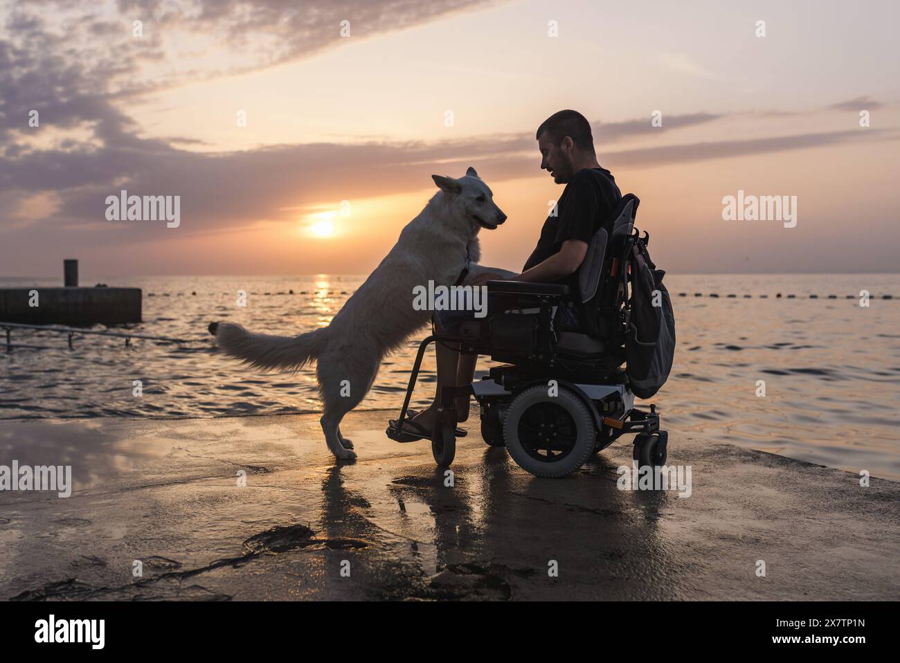 Man with disability, electric wheelchair user petting his dog and ...