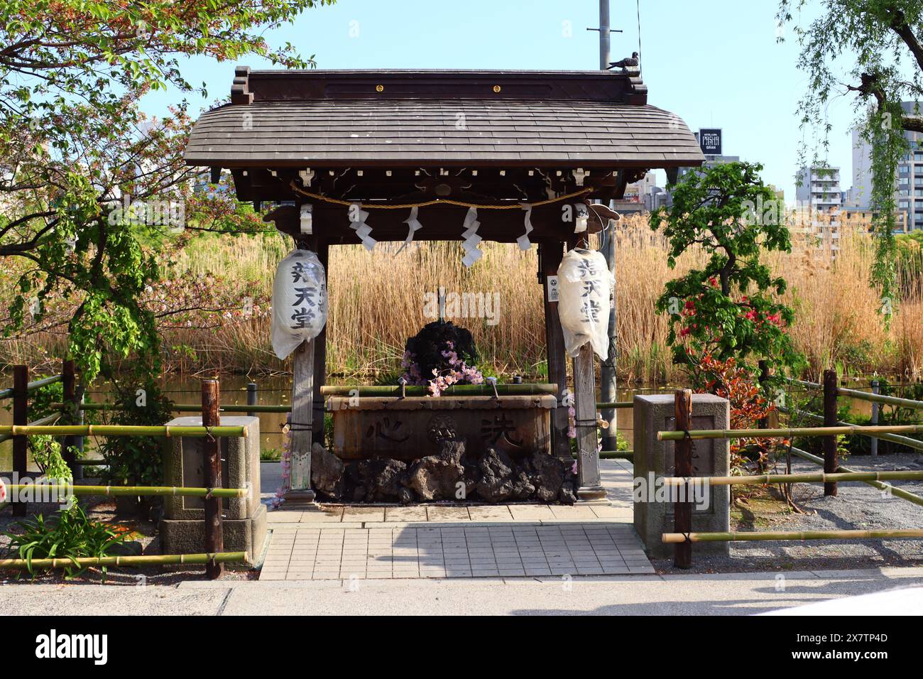 Japanese fountain of Shinobazu pond in Ueno, Taito, Tokyo, Japan Stock ...