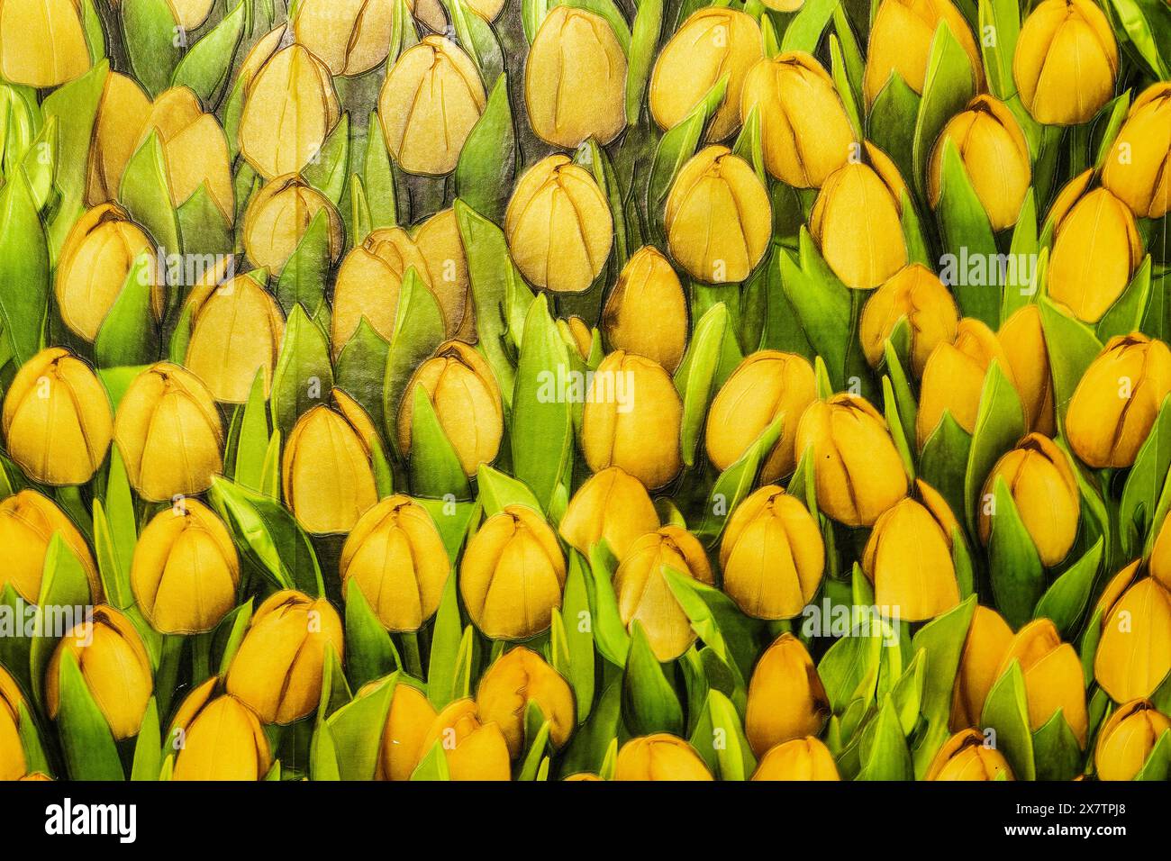 field of single-color tulips,sample vinyl wallpaper with yellow tulips ...