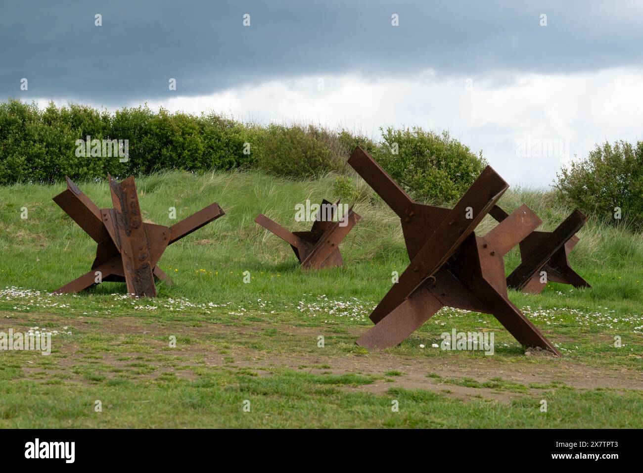 Normandy France D-Day and hedgehogs near Utah Beach Stock Photo - Alamy
