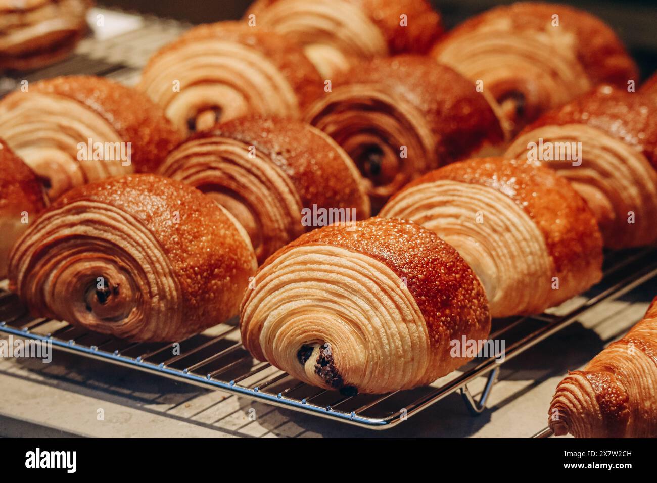 Close-up of fresh and beautiful pain au chocolats in a bakery showcase ...