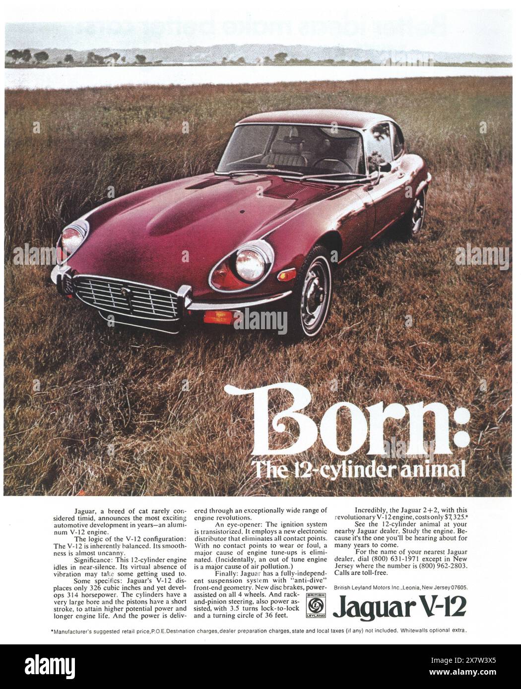 Old advert of jaguar cars hi-res stock photography and images - Alamy