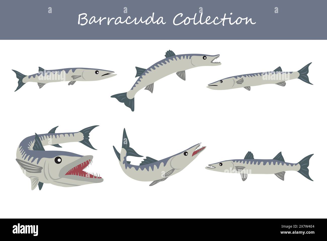 Red herring illustration Stock Vector Images - Alamy