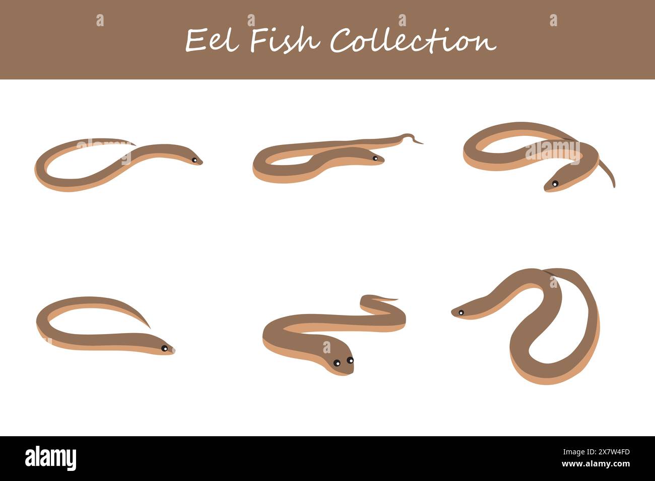 eel collection. eel in different poses. Vector illustration Stock ...