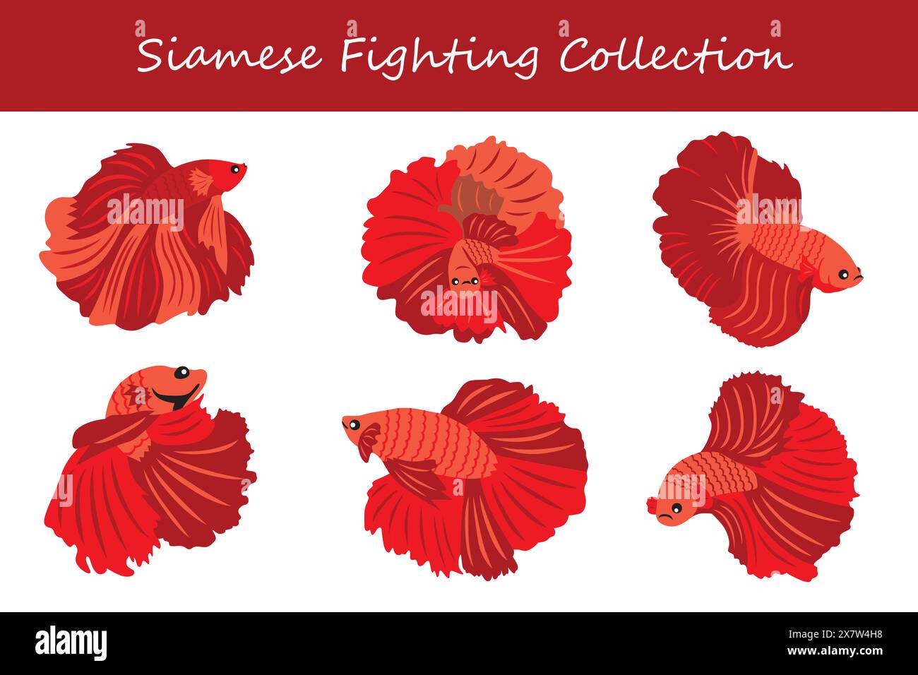 siamese fighting collection. siamese fighting in different poses ...