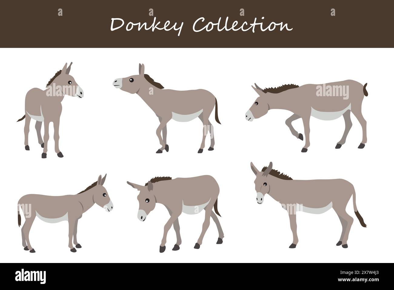 donkey collection. donkey in different poses. Vector illustration Stock ...