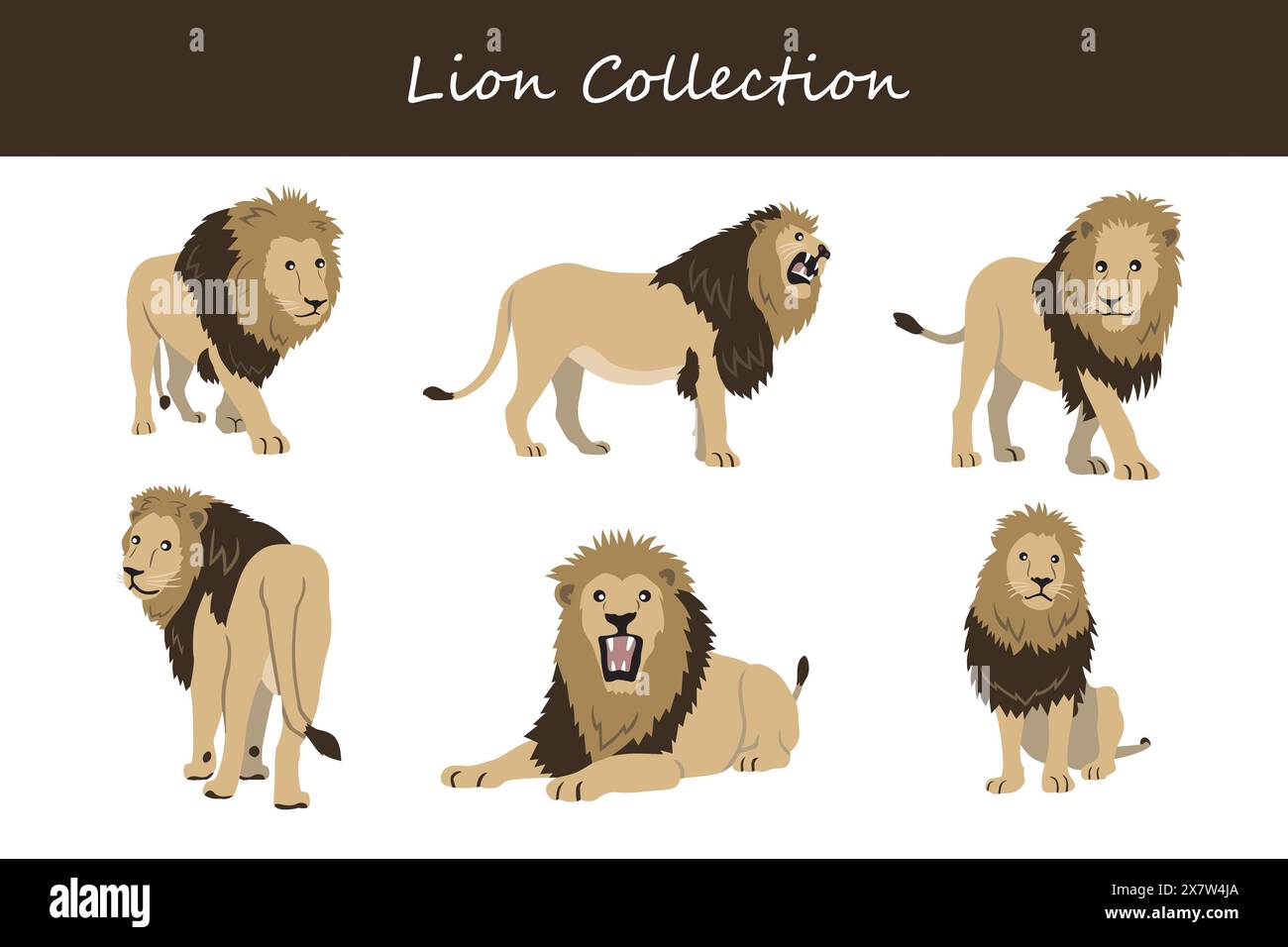 lion collection. lion in different poses. Vector illustration Stock ...