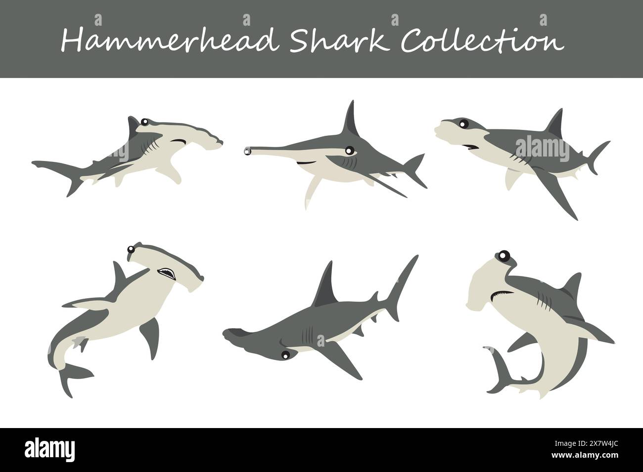hammerhead shark collection. hammerhead shark in different poses ...