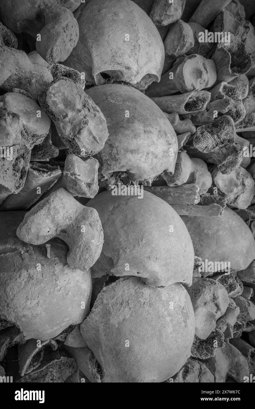Teeth human bones in Black and White Stock Photos & Images - Alamy