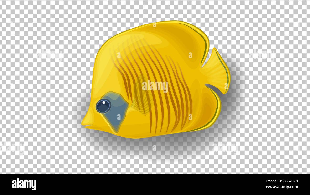 3D Clownfish in orange, black and white colors. Transparent background ...