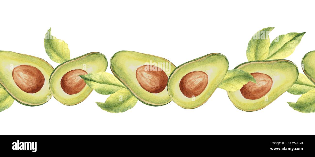 Avocado horizontal Watercolor Seamless Border Pattern. Hand drawn ...