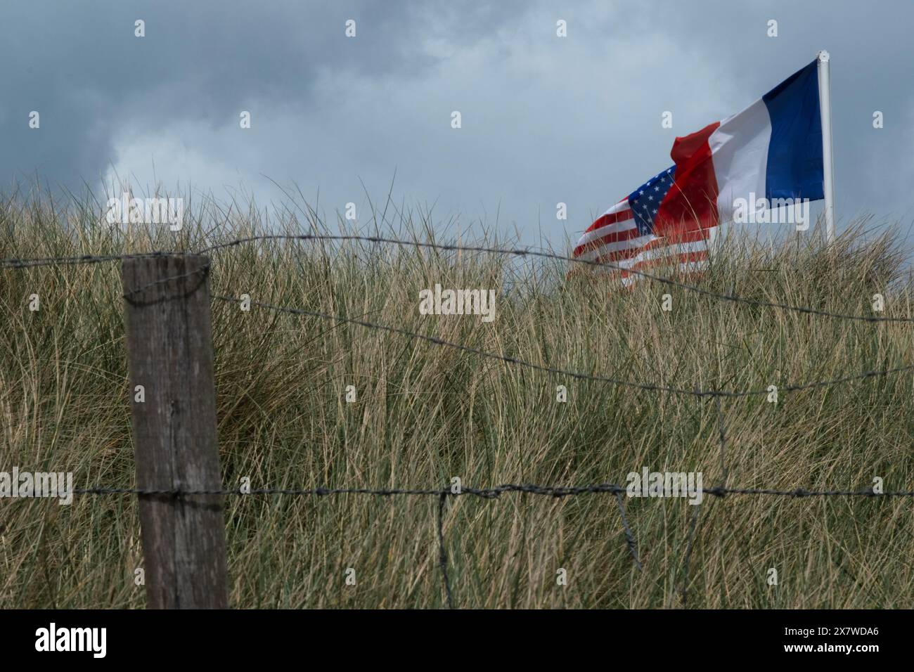 Normandy costal area of Utah beach beachgrass, barb wire, fence and ...