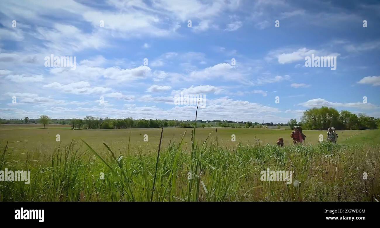 BEYOND THE TREE LINE, from left: Harvey Sutton, Cassie Sutton, Josh ...