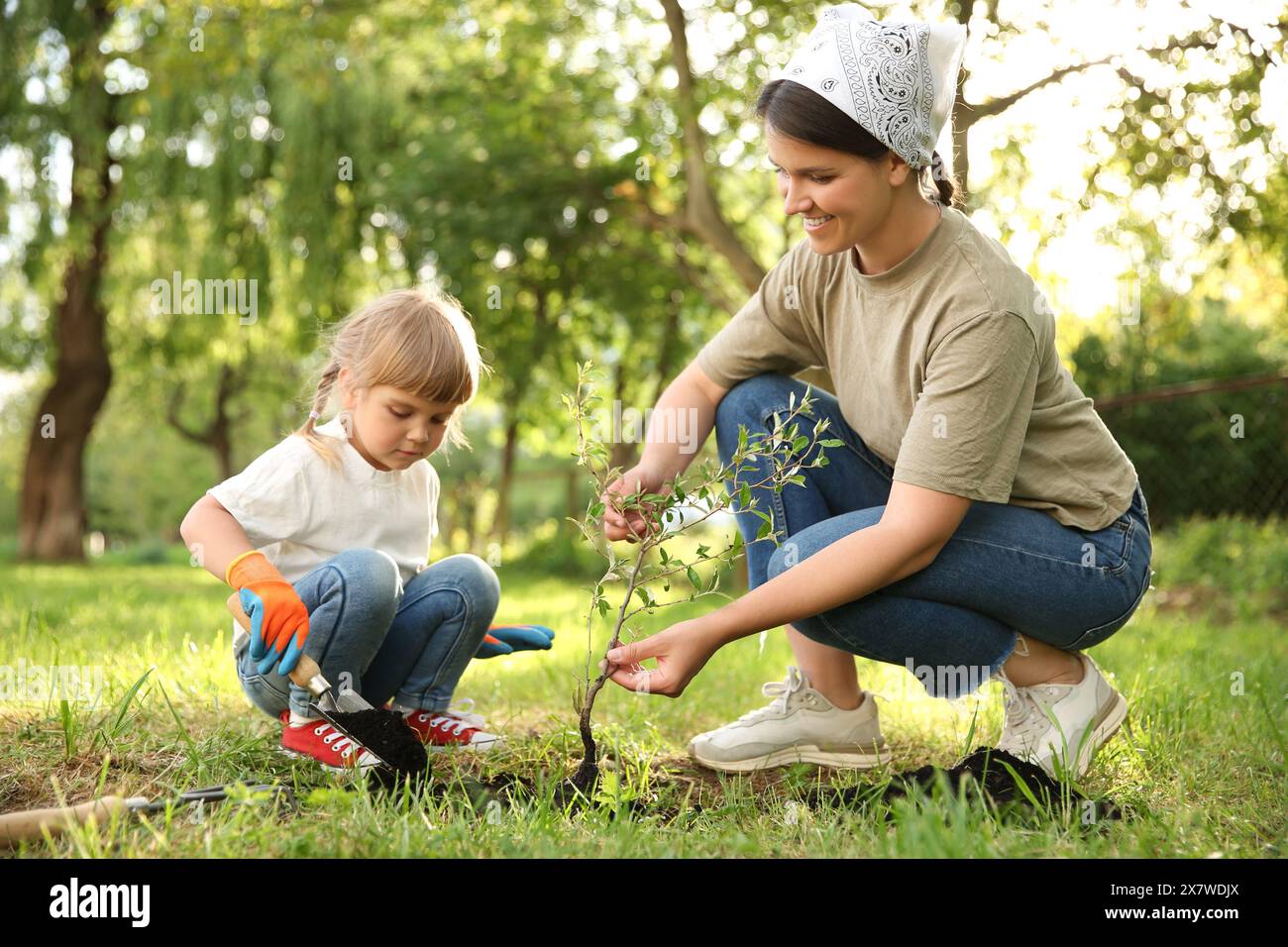 Mother and her daughter planting tree together in garden Stock Photo ...