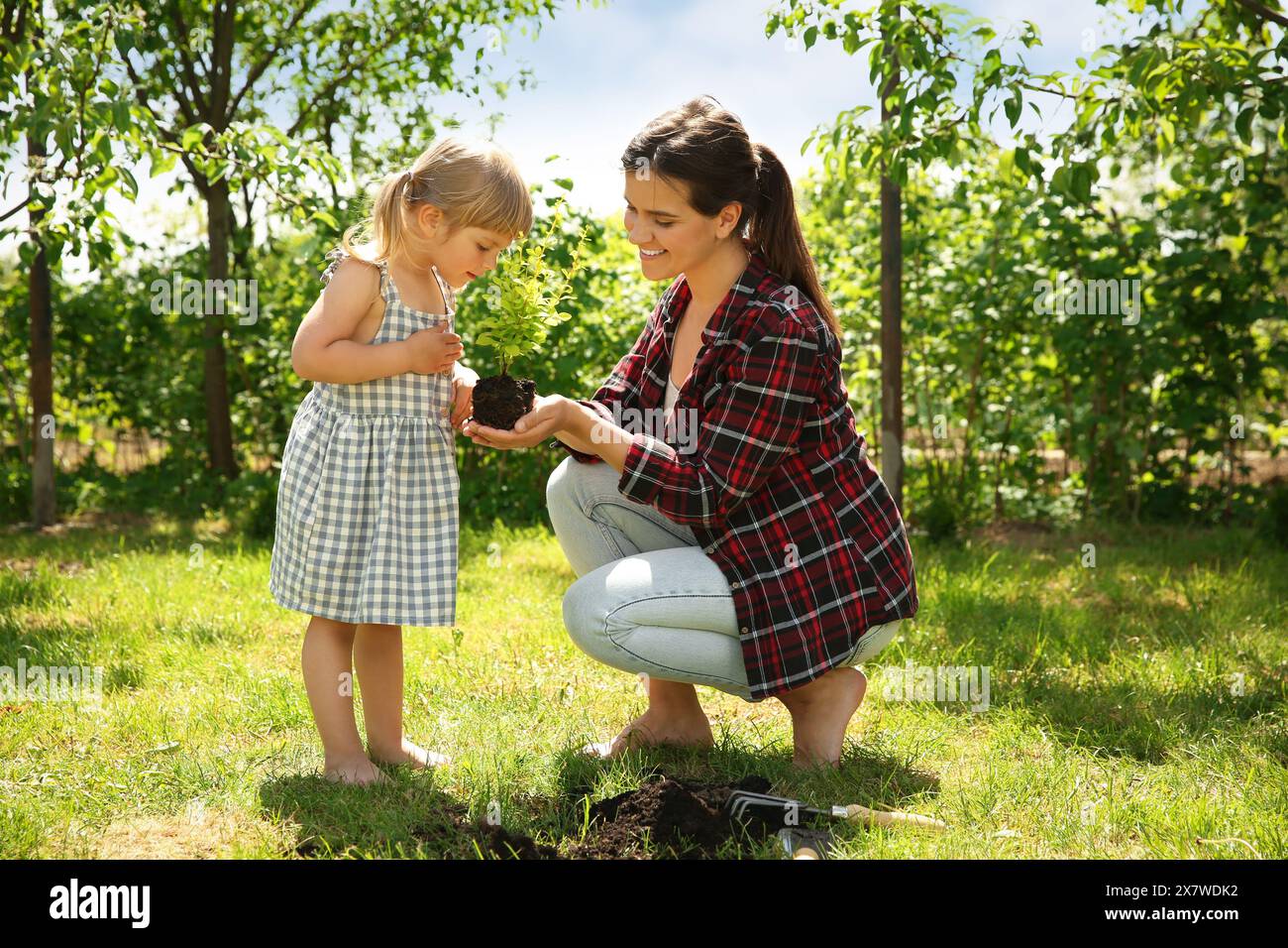 Mother and her daughter planting tree together in garden Stock Photo ...