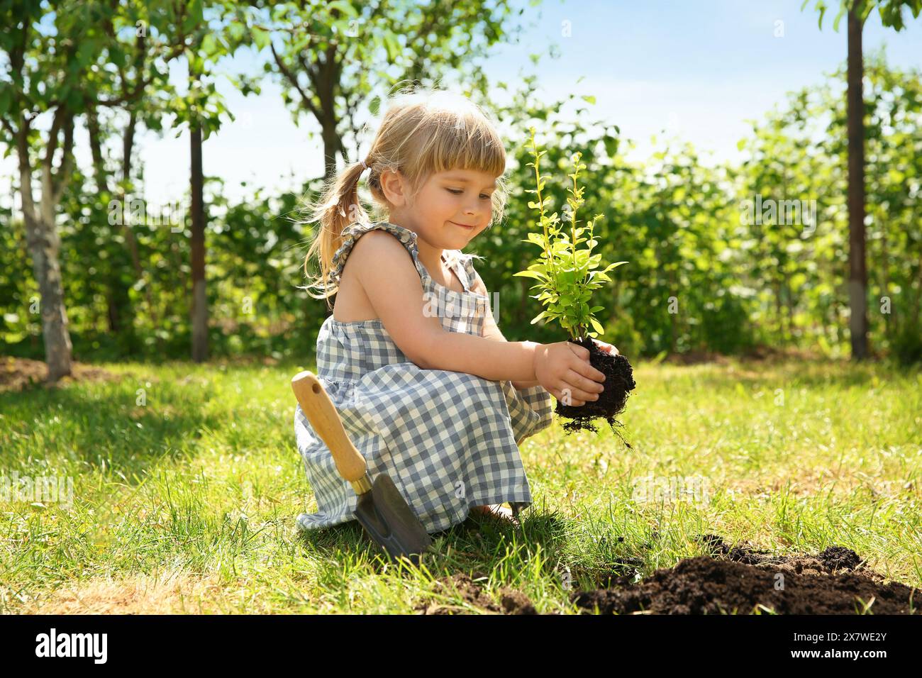 Cute little girl planting tree in garden Stock Photo - Alamy