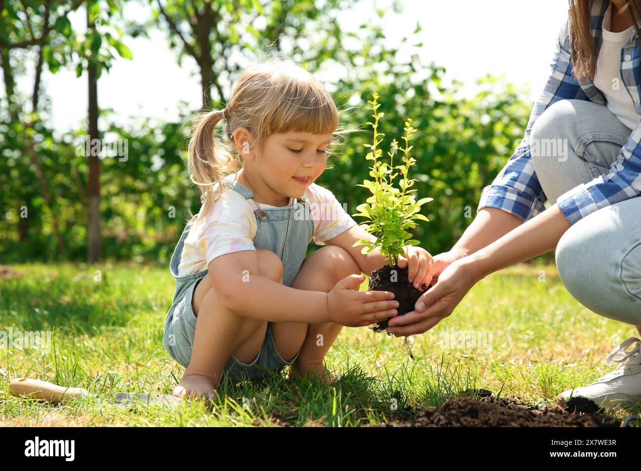 Mother and her daughter planting tree together in garden Stock Photo ...