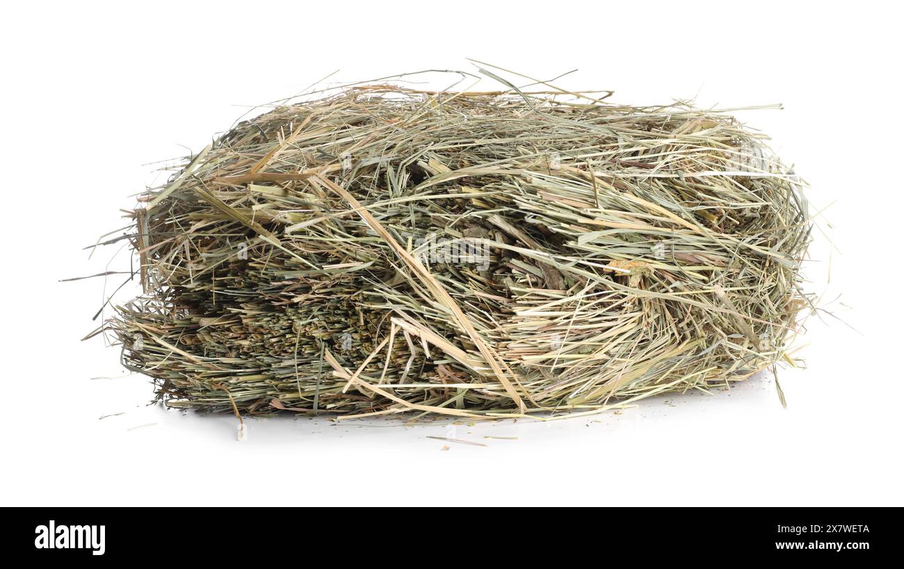 Livestock fodder plant hi-res stock photography and images - Alamy