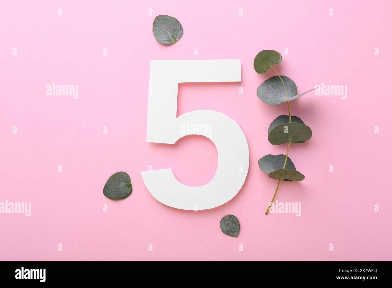 Paper number 5 and eucalyptus leaves on pink background, flat lay Stock ...