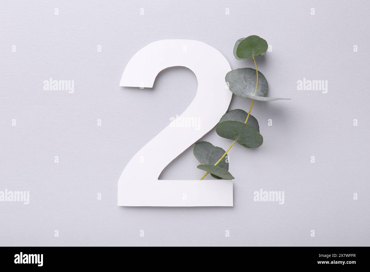 Paper number 2 and eucalyptus branch on light grey background, top view ...