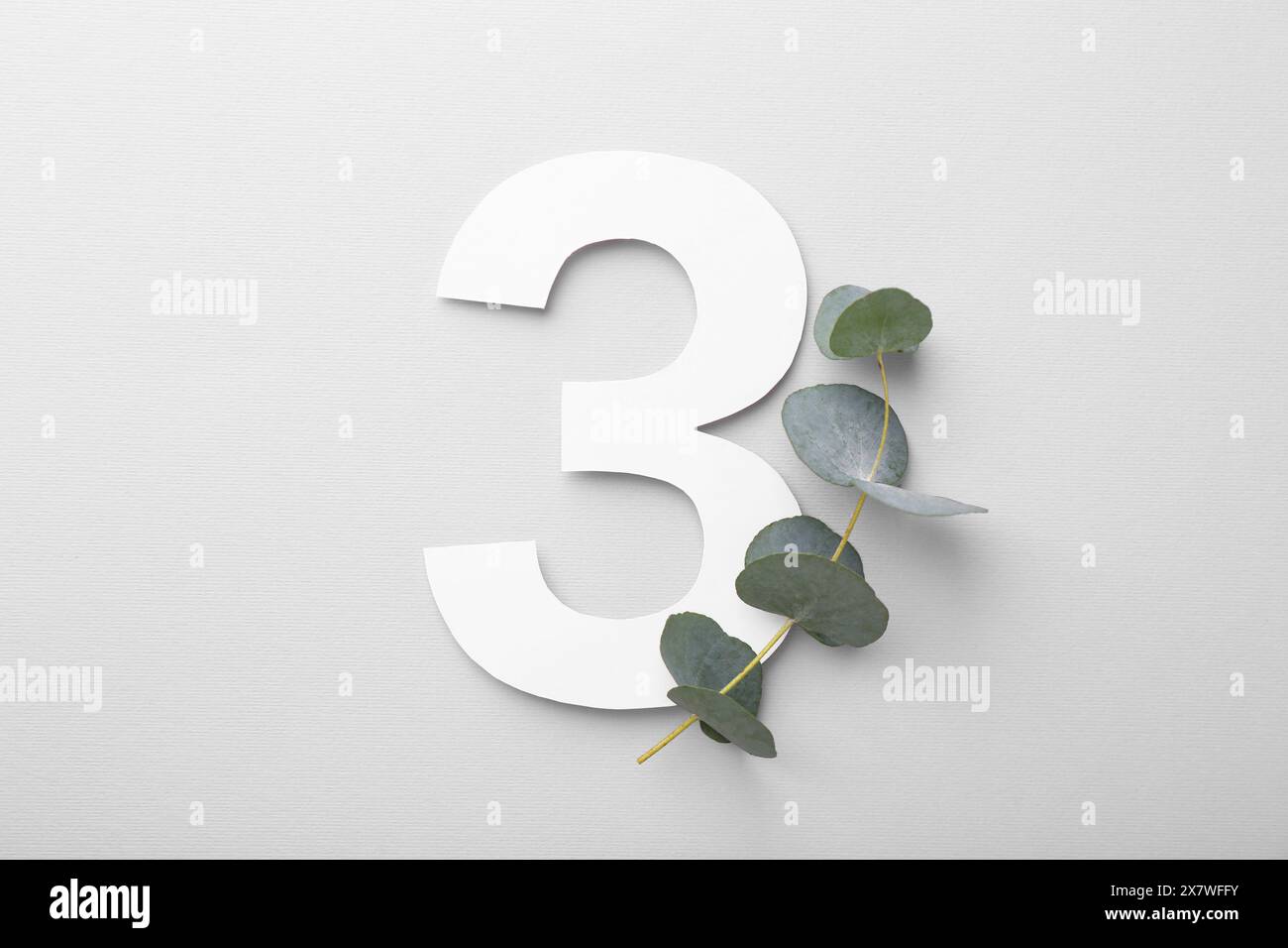 Paper number 3 and eucalyptus branch on light grey background, top view ...