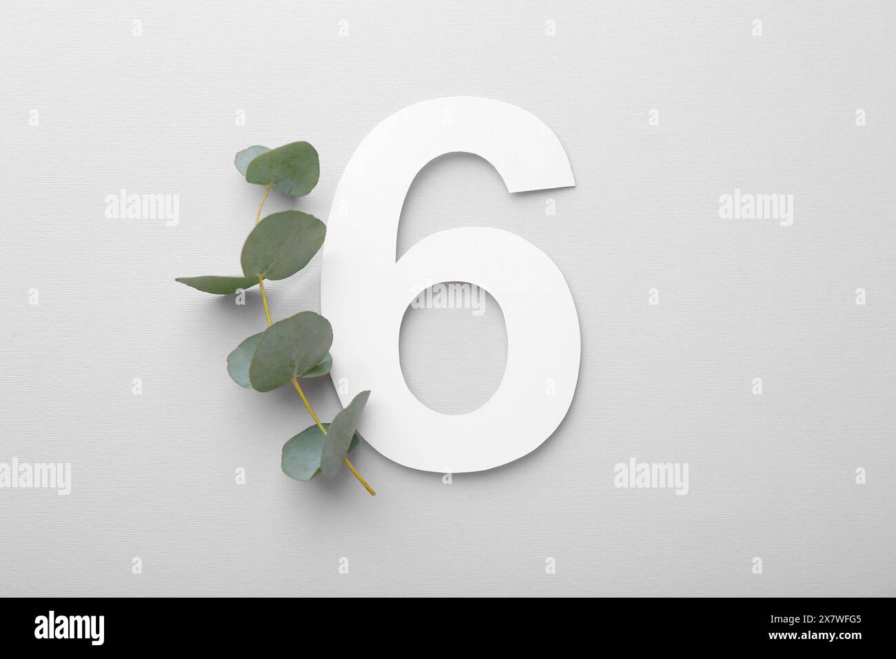 Paper number 6 and eucalyptus branch on light grey background, top view ...