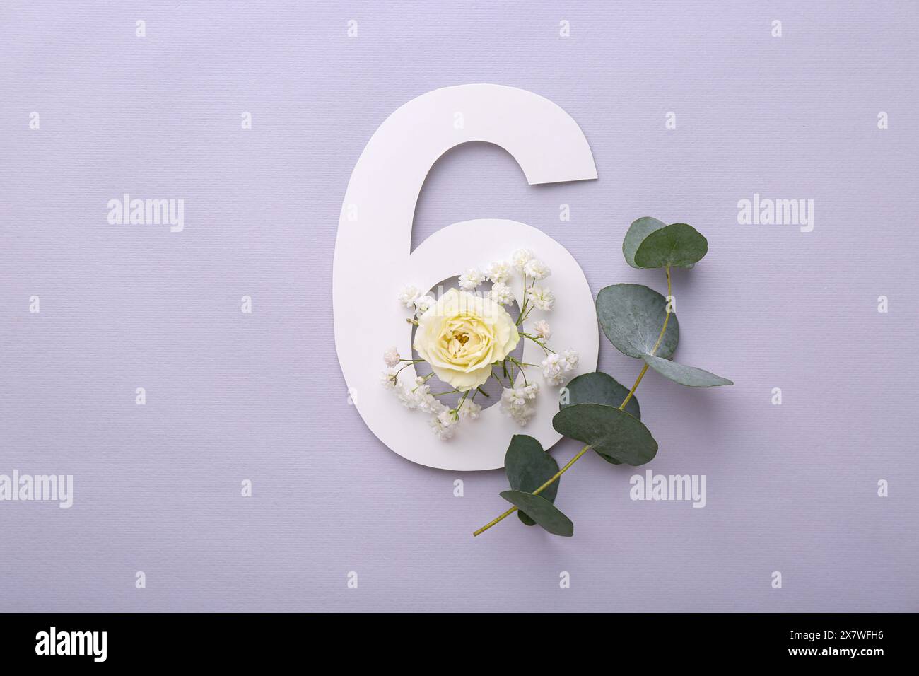 Paper number 6, beautiful flowers and eucalyptus branch on light grey ...