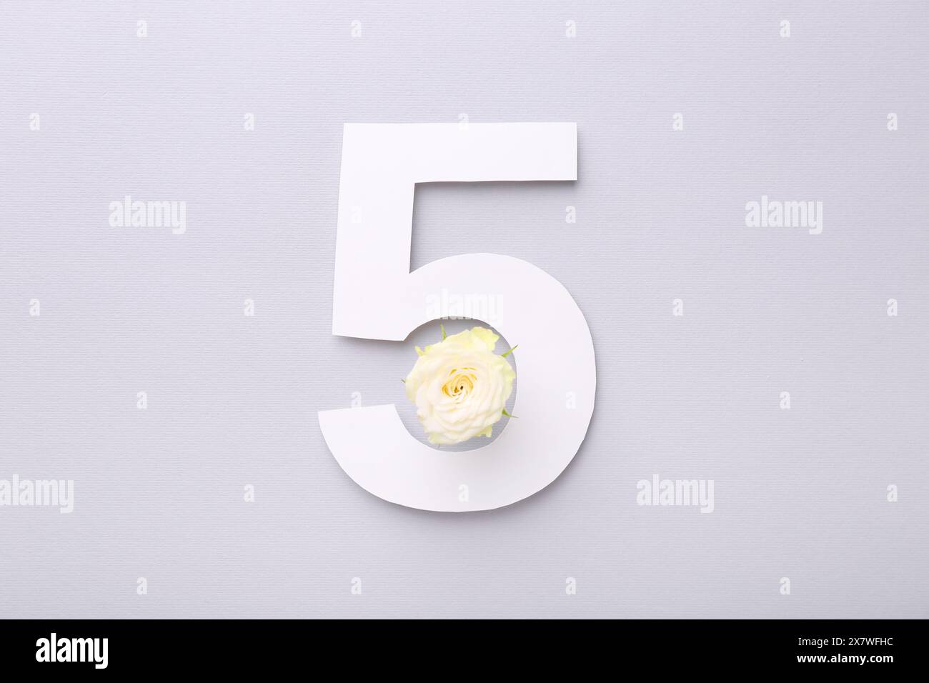 Paper number 5 and beautiful flower on light grey background, top view ...