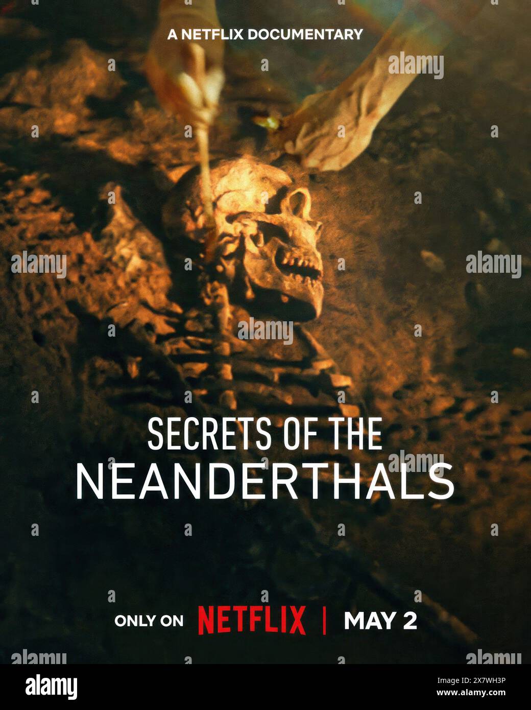 SECRETS OF THE NEANDERTHALS, US poster, 2024. © Netflix / Courtesy ...