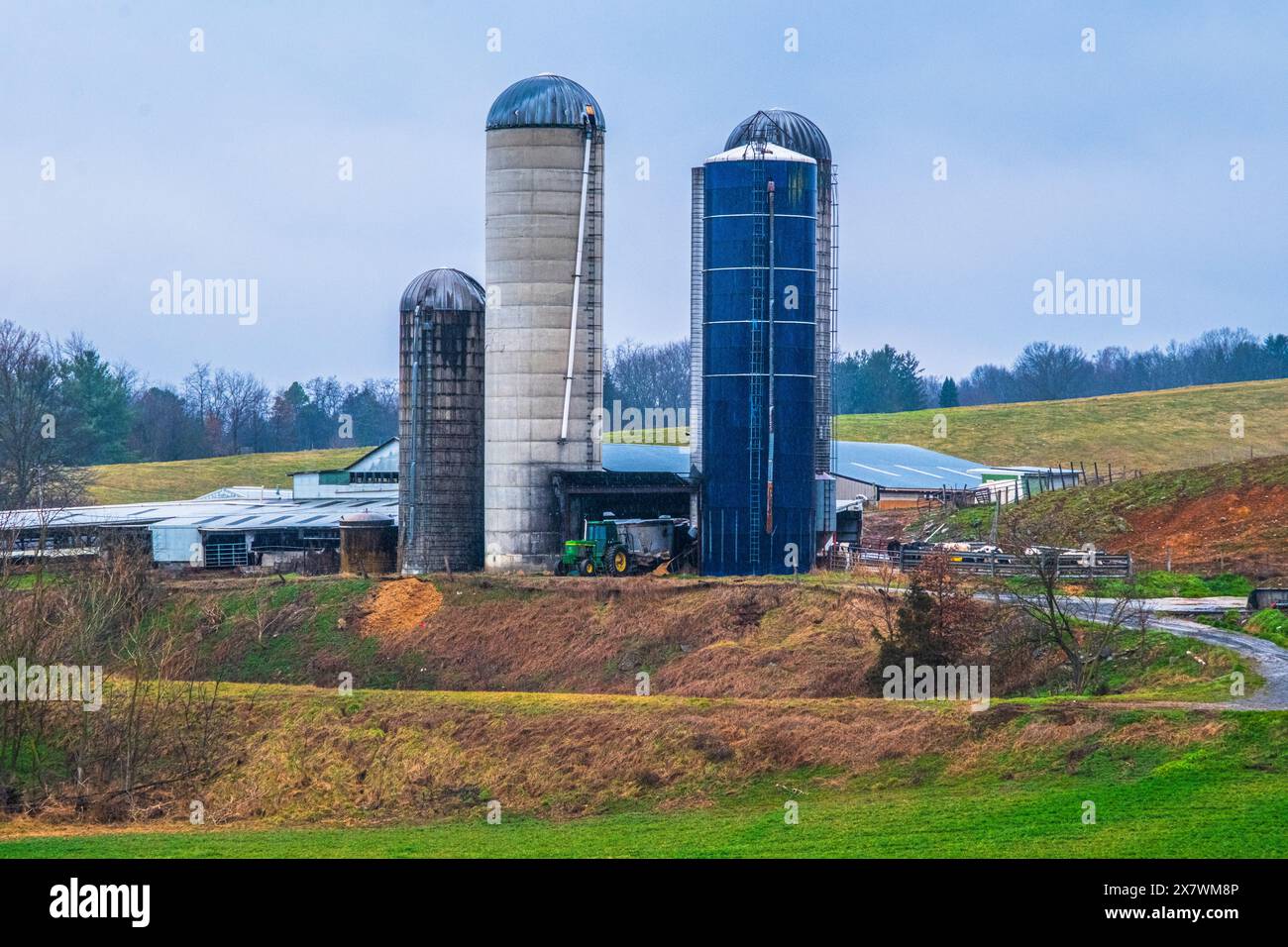 Silos, barns and sheds nestle in the hill in a working cattle farm in ...