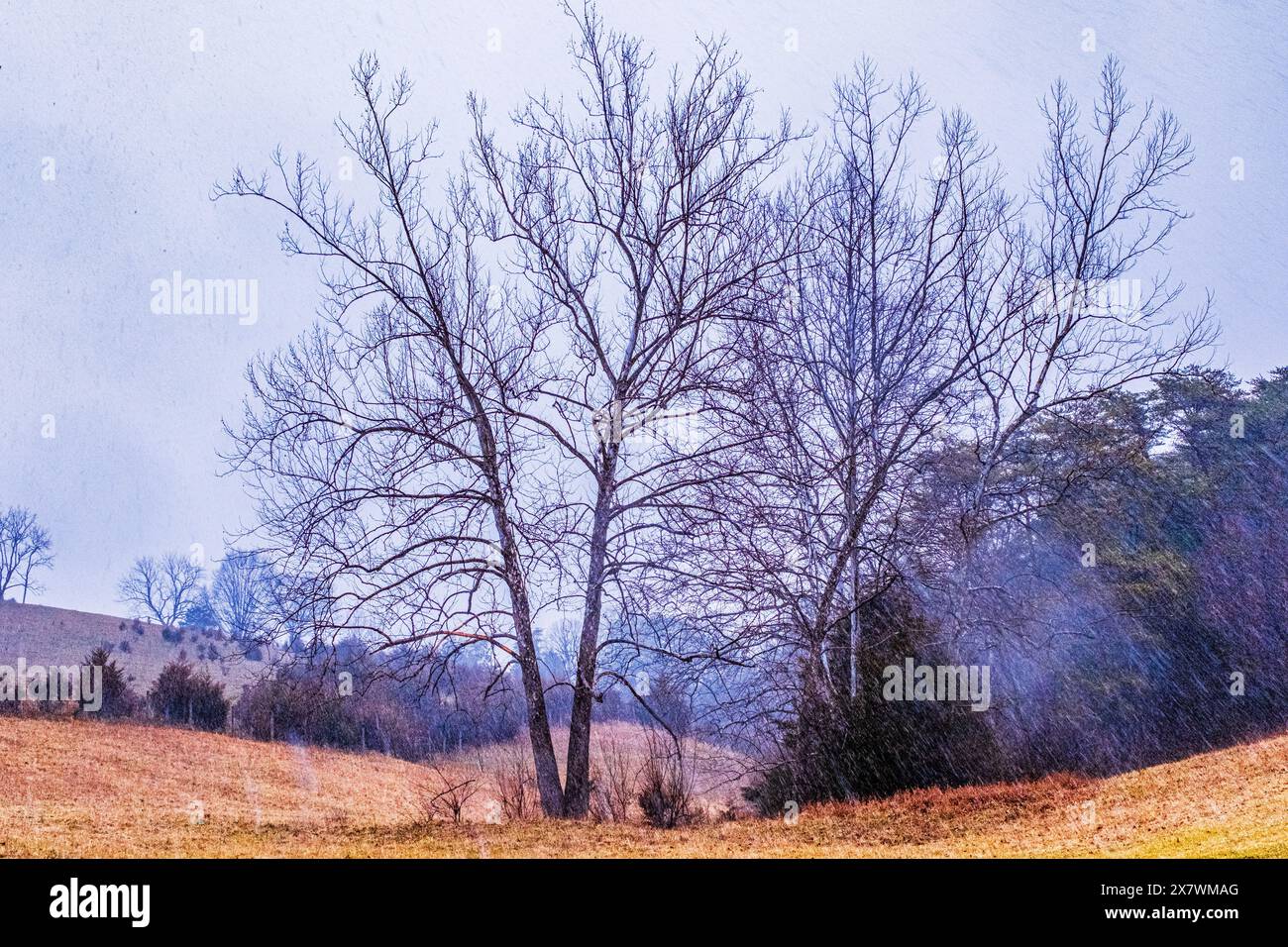 Winter rain and mist partially obscure Virginia rural landscape Stock ...