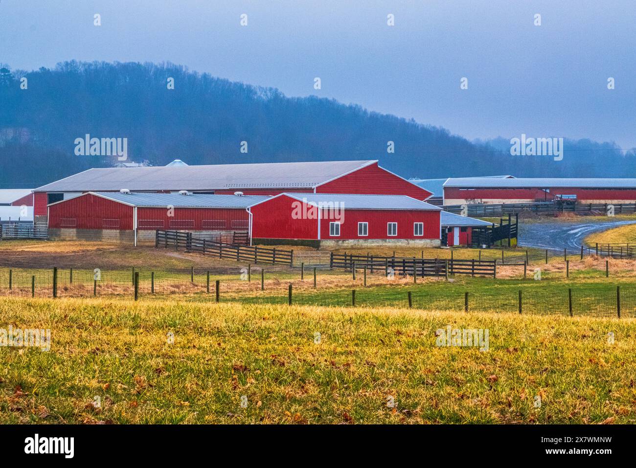 Working farm with fields, red barns and sheds in rural Virginia Stock ...