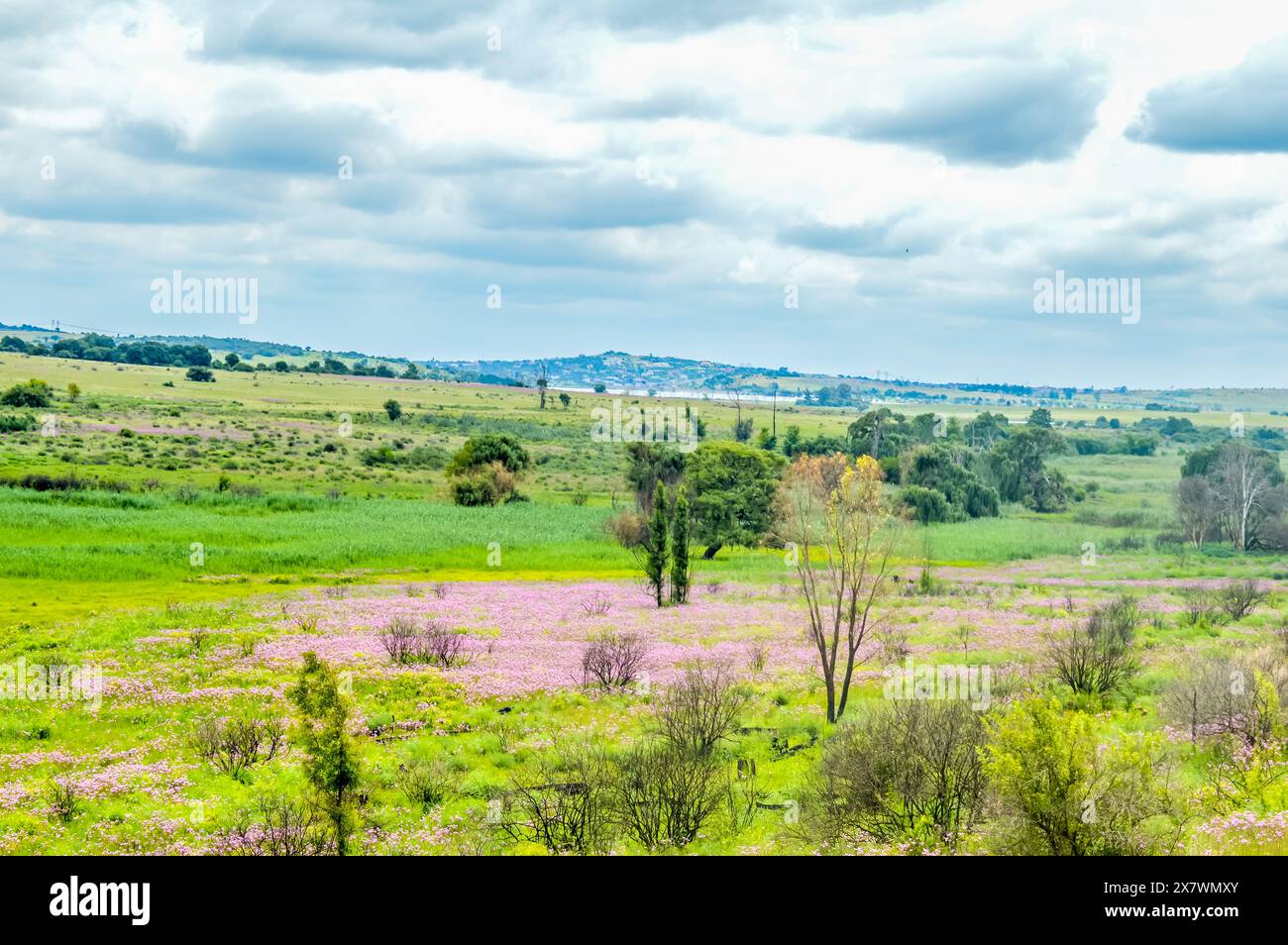 Beautiful Rietvlei nature reserve near Pretoria and Centurion lined ...