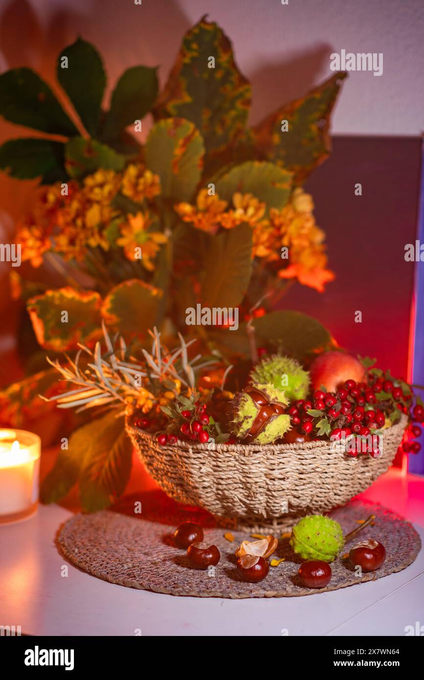A beautiful composition of chestnuts, autumn flowers and leaves, sea ...