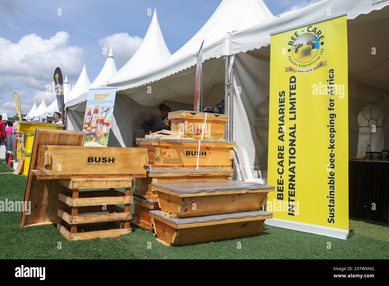 Modern beehives on display during the world Bee day. Local beekeeping ...