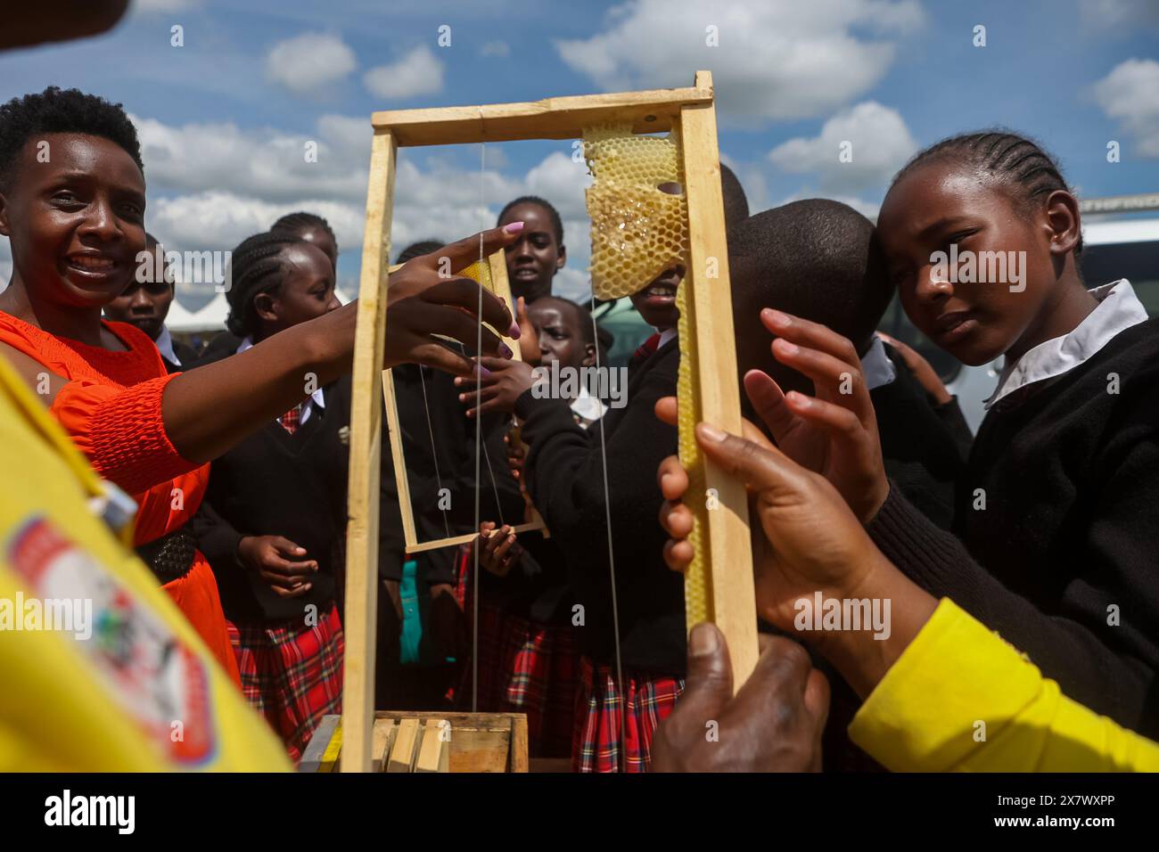 Students of Isinya primary junior school inspects honey combs as they ...