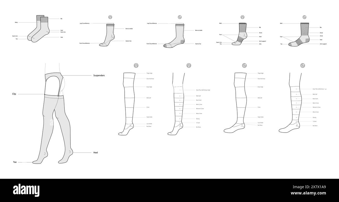 Set of Soks and tight parts Diagrams with text names. Hosiery Fashion ...