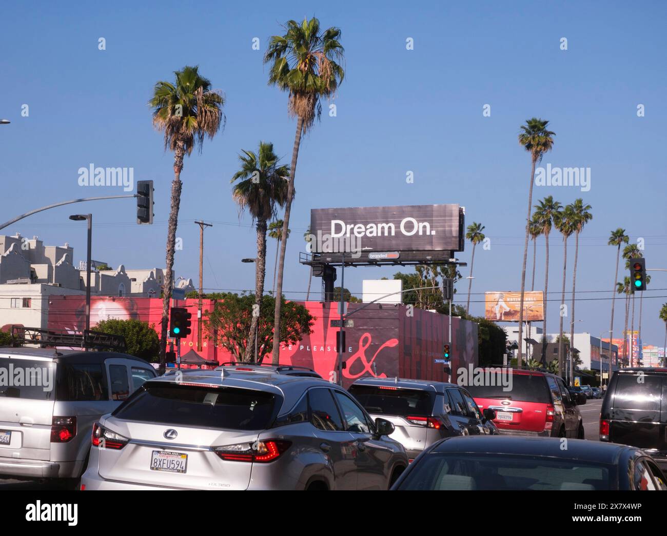 Palm trees, Sunset Boulevard, Los Angeles, California, United States of ...