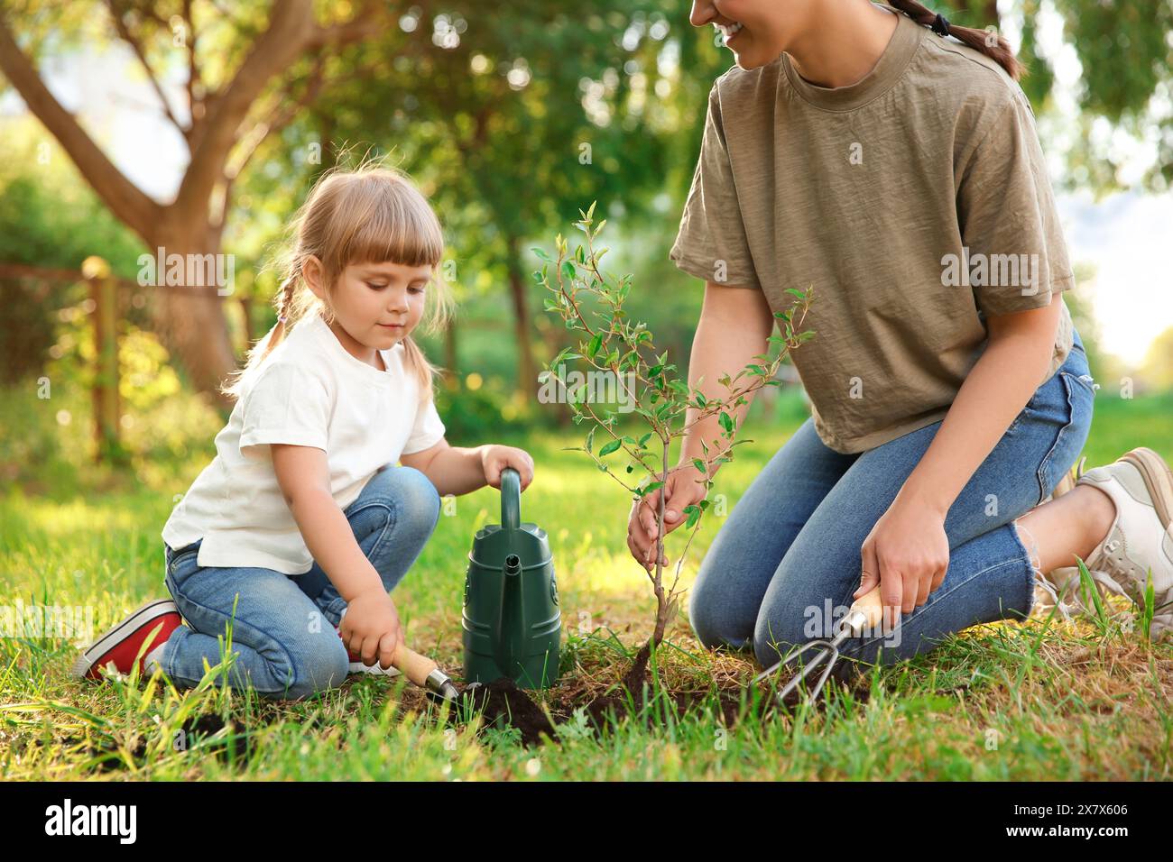 Happy caucasian daughter planting tree hi-res stock photography and ...