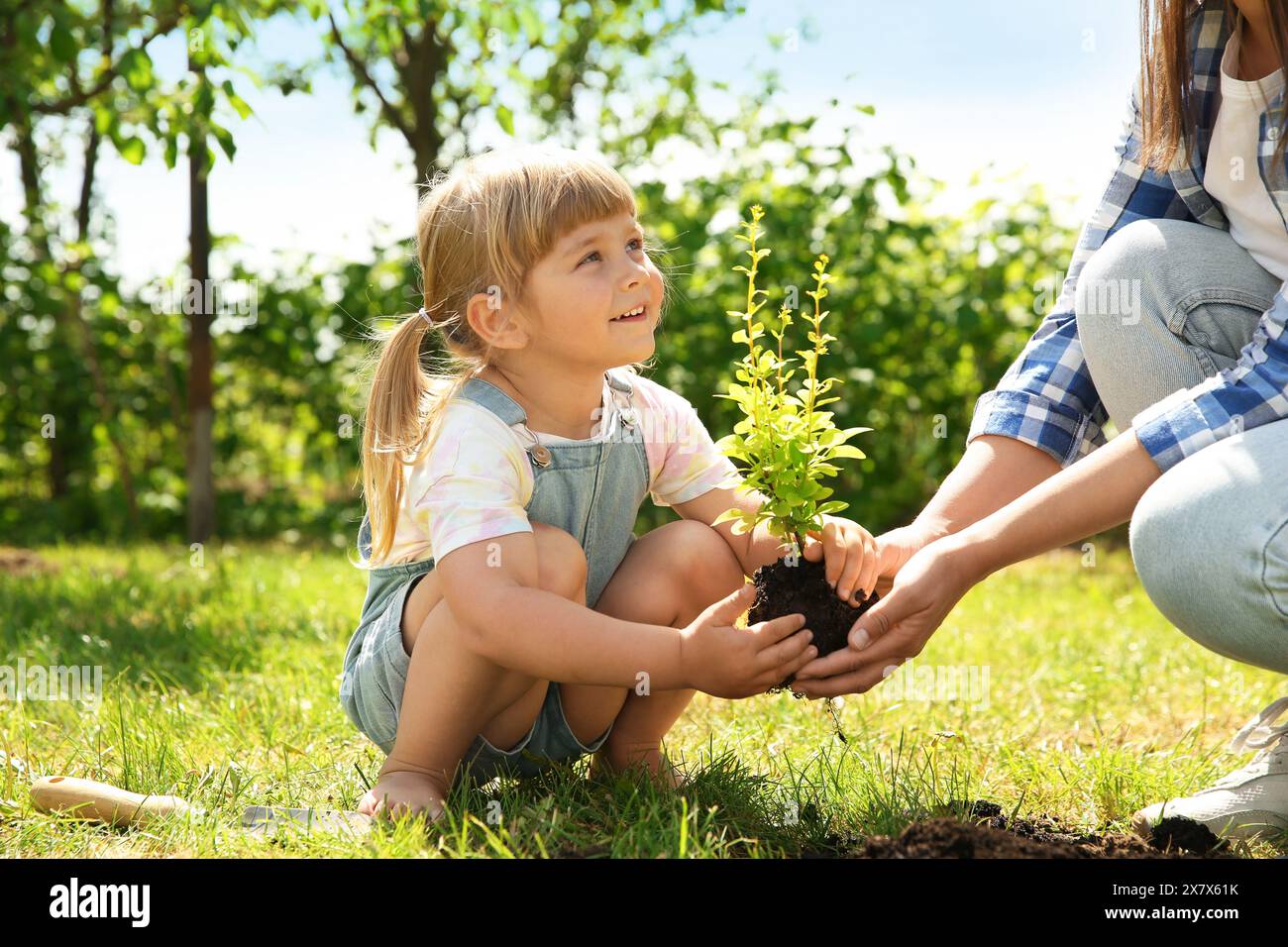 Mother and her daughter planting tree together in garden Stock Photo ...