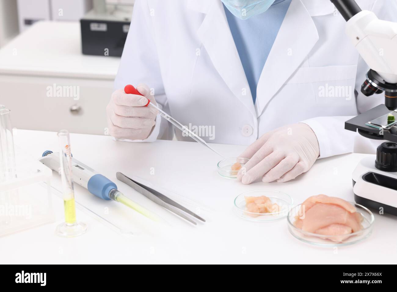 Quality control. Food inspector examining meat in laboratory, closeup ...
